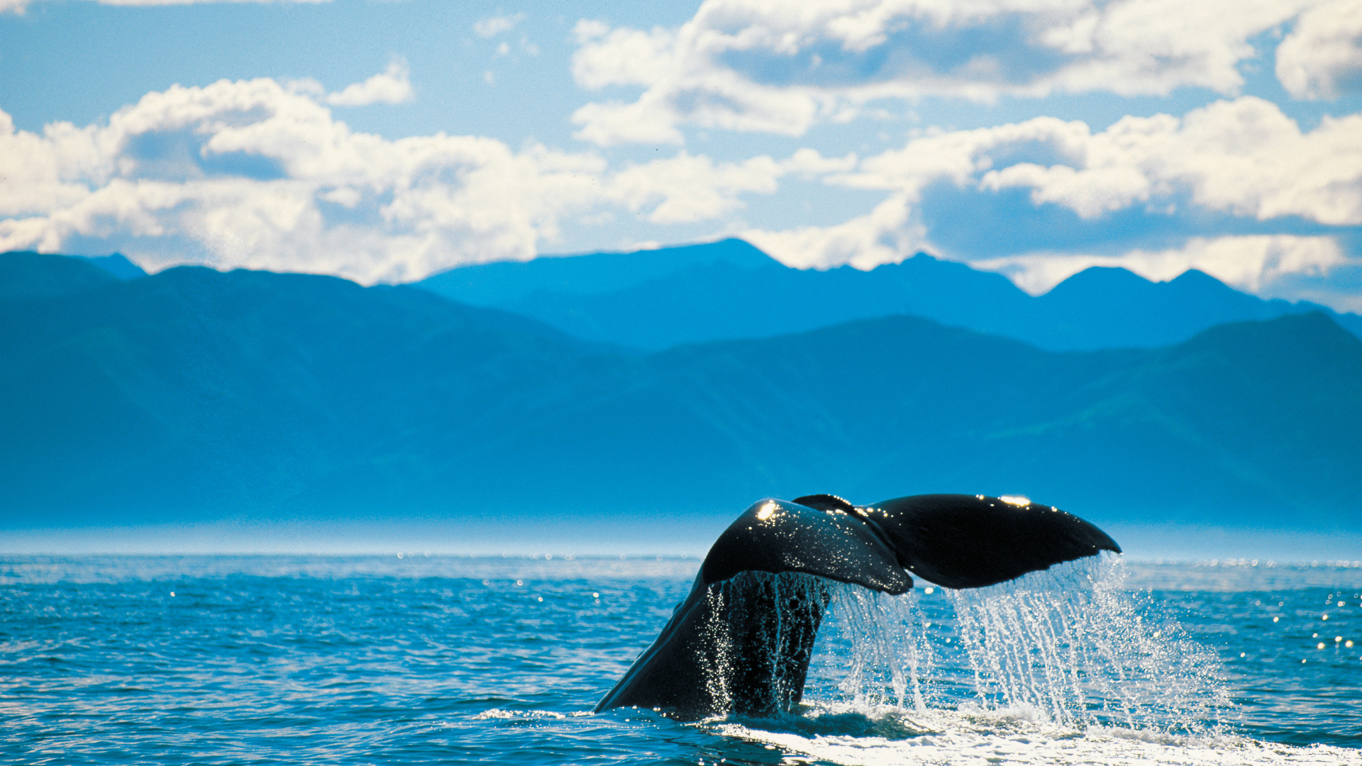 Nature & Wildlife Holidays For Earth Day | Turquoise Holidays